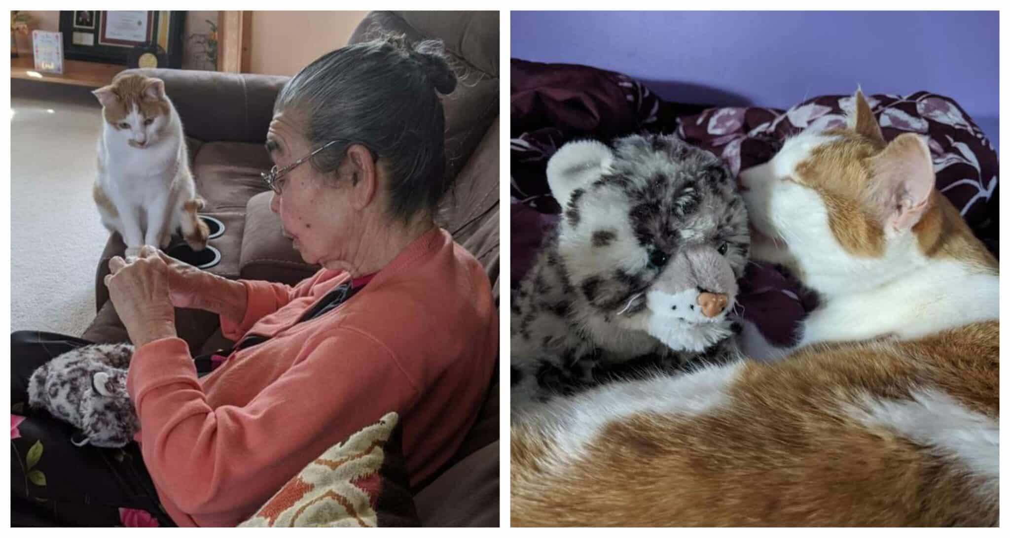 Cat Waits Patiently as Grandma Fixes His Favorite Toy - Mykittenhouse