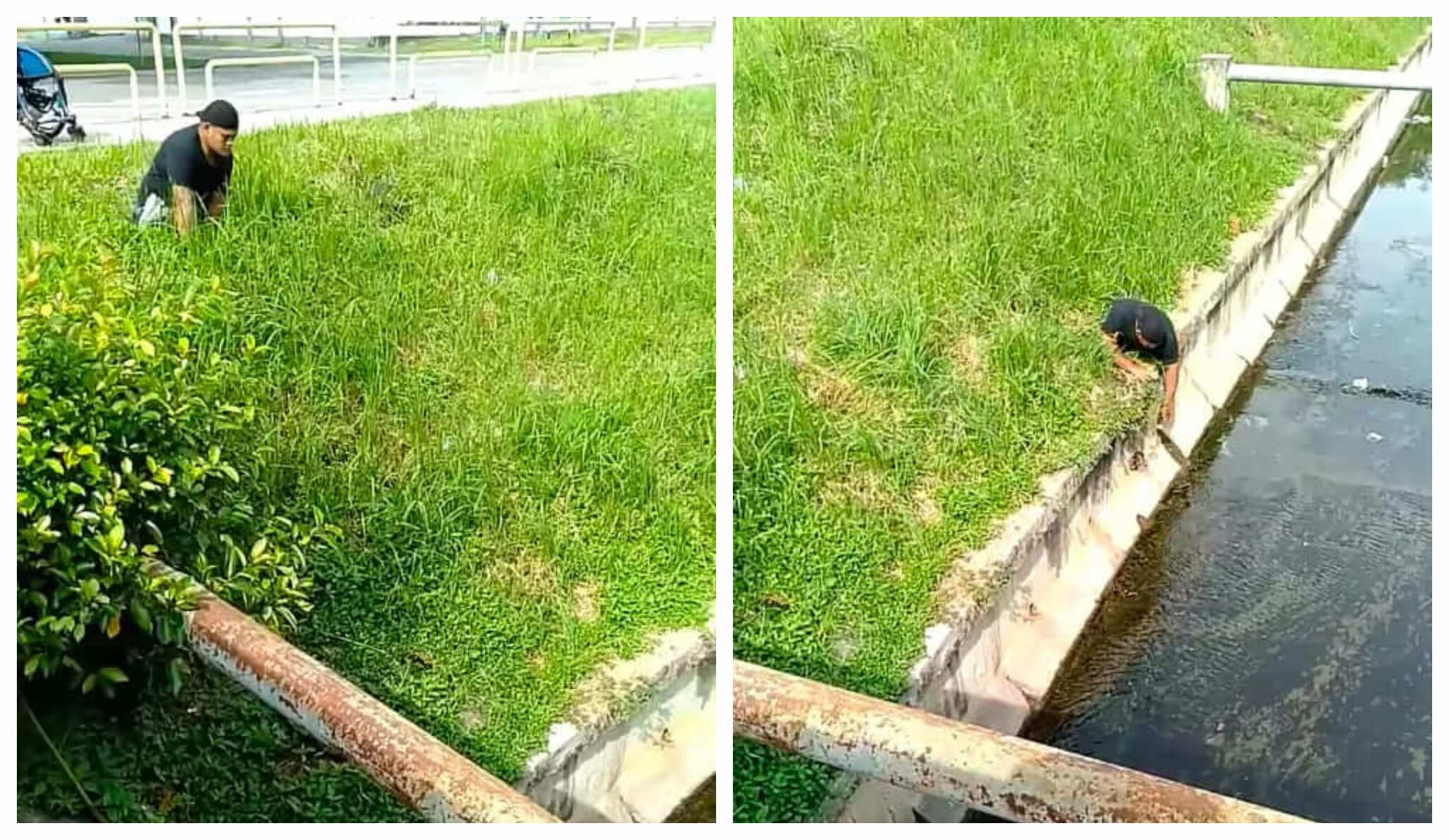 When a kitten gets stuck in a drain a disabled man risks his life by ...